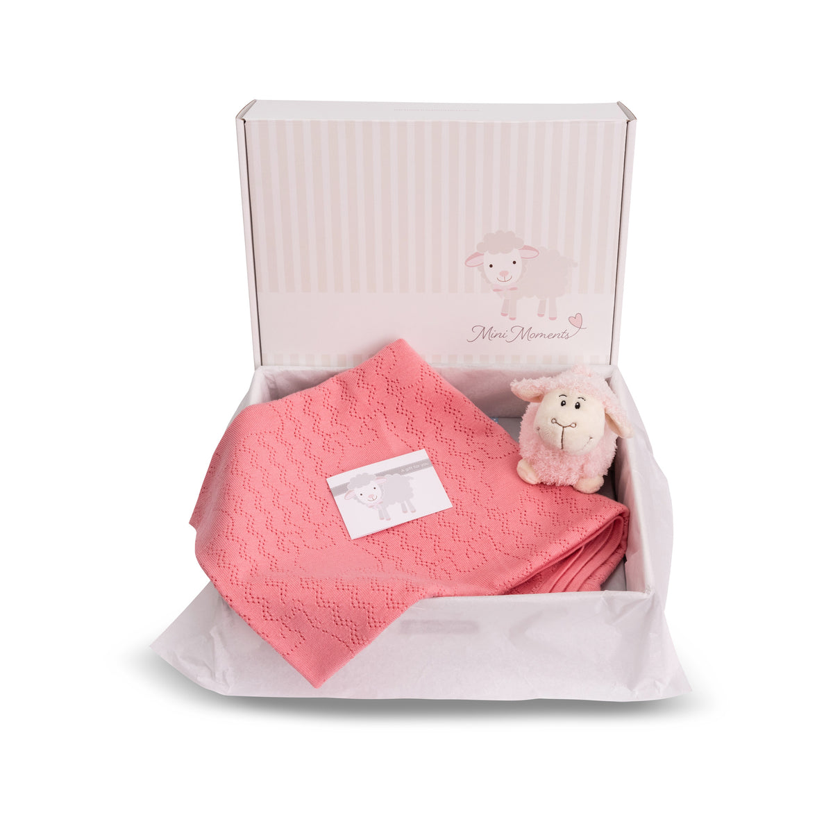Merino Blanket Gift Pack Pink – Merino Mini